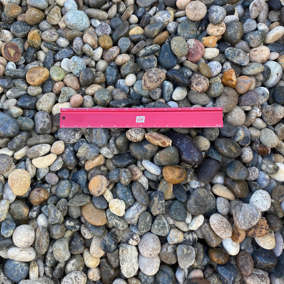 Shop 1-2 inch Mini Cobble at Trinity Landscape Center - America DIY