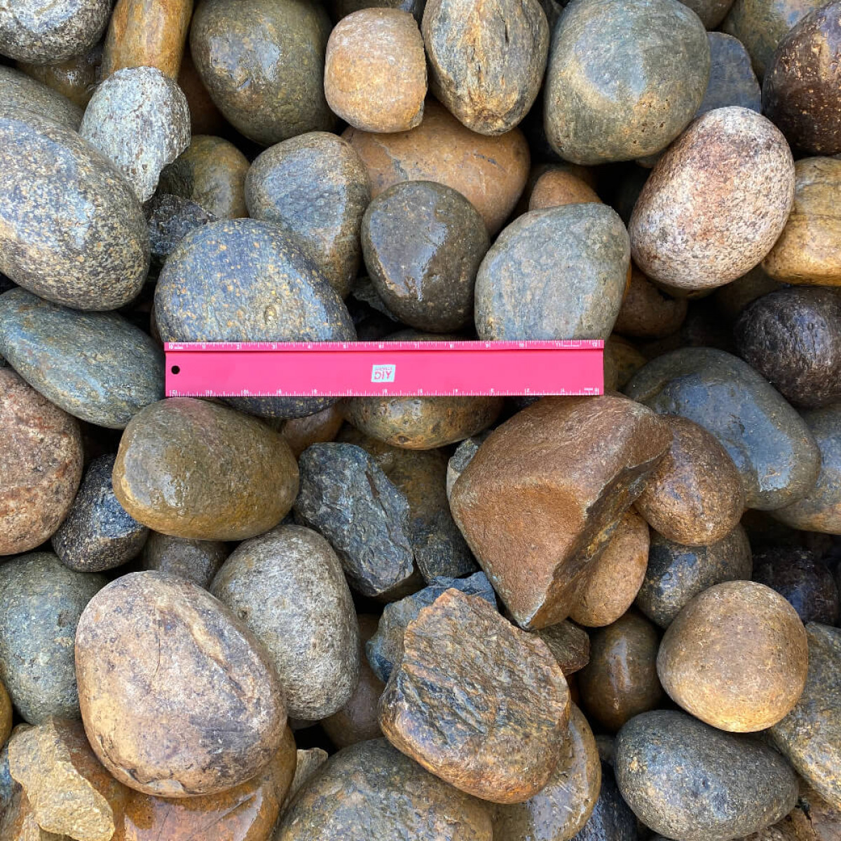 Shop 4-6 inch Cobble at Trinity Landscape Center - America DIY